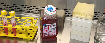 Top 10 Lab Horror Stories for Halloween - Labtag Blog