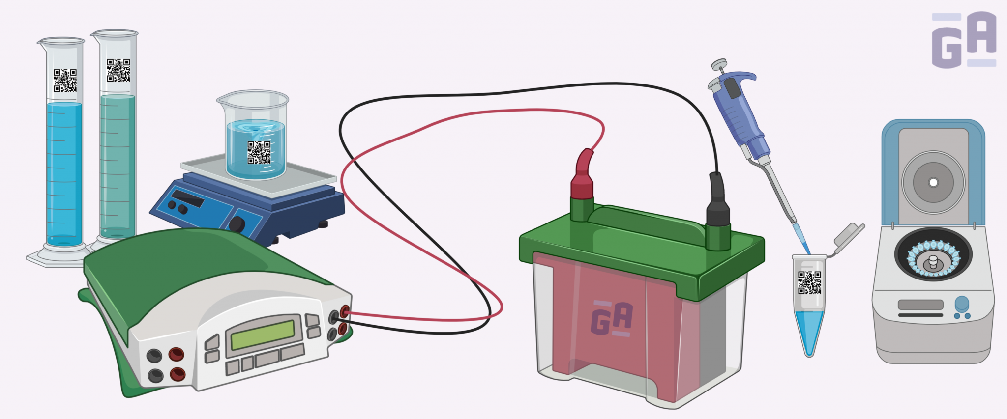 The Ins and Outs of Labeling your SDS-PAGE and Western Blot - Labtag Blog