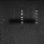 Top 10 Lab Fails of 2020 - Labtag Blog