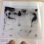 Top 10 Lab Fails of 2020 - Labtag Blog