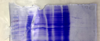 Top 10 Lab Fails of 2020 - Labtag Blog