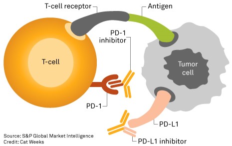 Research Spotlight: Umme Uzma Haveri, CEO of Labmate.io - Labtag Blog