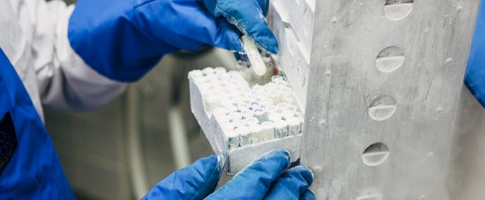 Laboratory Cold Storage Temperature Guide - Labtag Blog