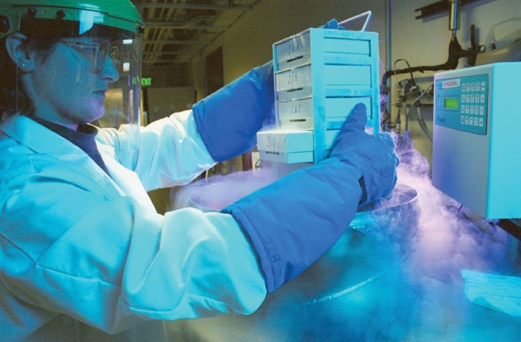 Insight into Cryopreservation: The Art of Freezing Life - Labtag Blog