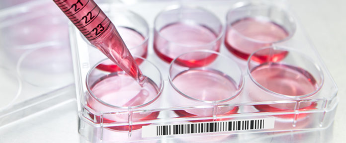 Labeling for Cell Culture - Labtag Blog
