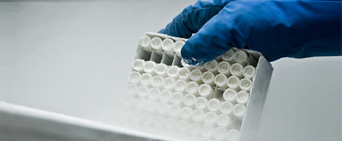 The History and Function of Biobanks - Labtag Blog