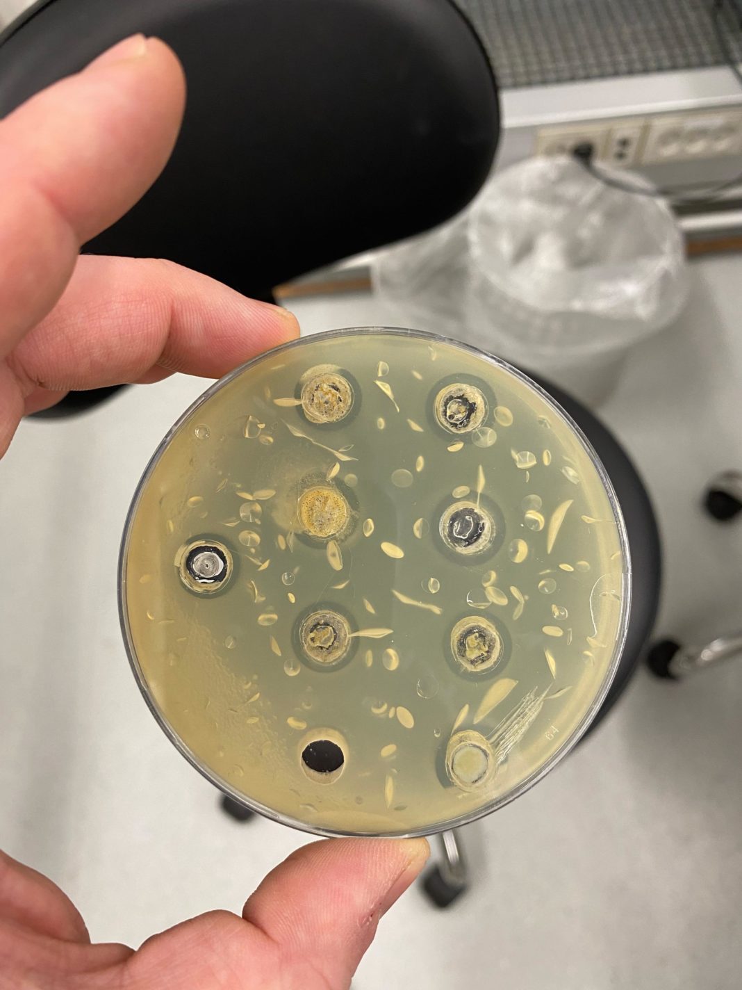 Top 10 Lab Fails of 2022 - Labtag Blog