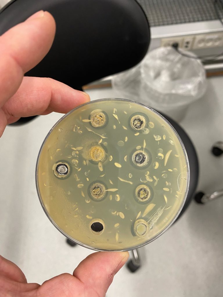 Top 10 Lab Fails of 2022 - Labtag Blog