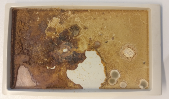 Top 10 Lab Fails of 2022 - Labtag Blog