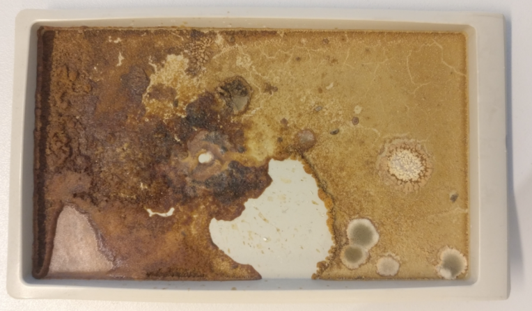 Top 10 Lab Fails of 2022 - Labtag Blog