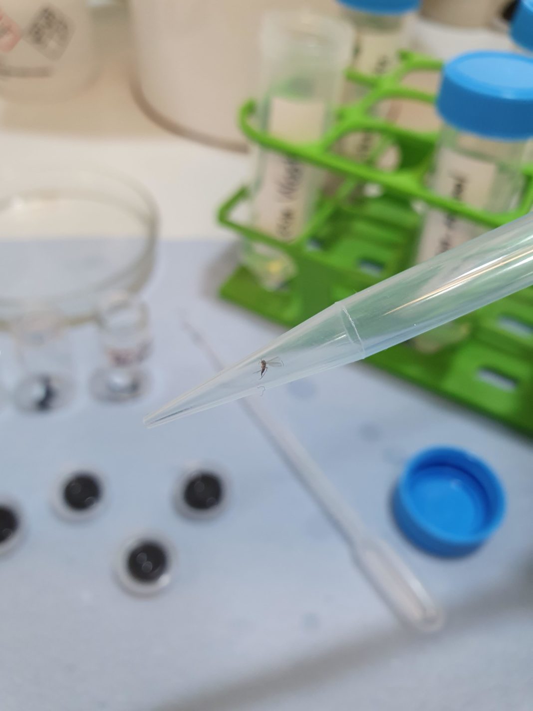 Top 10 Lab Fails of 2022 - Labtag Blog