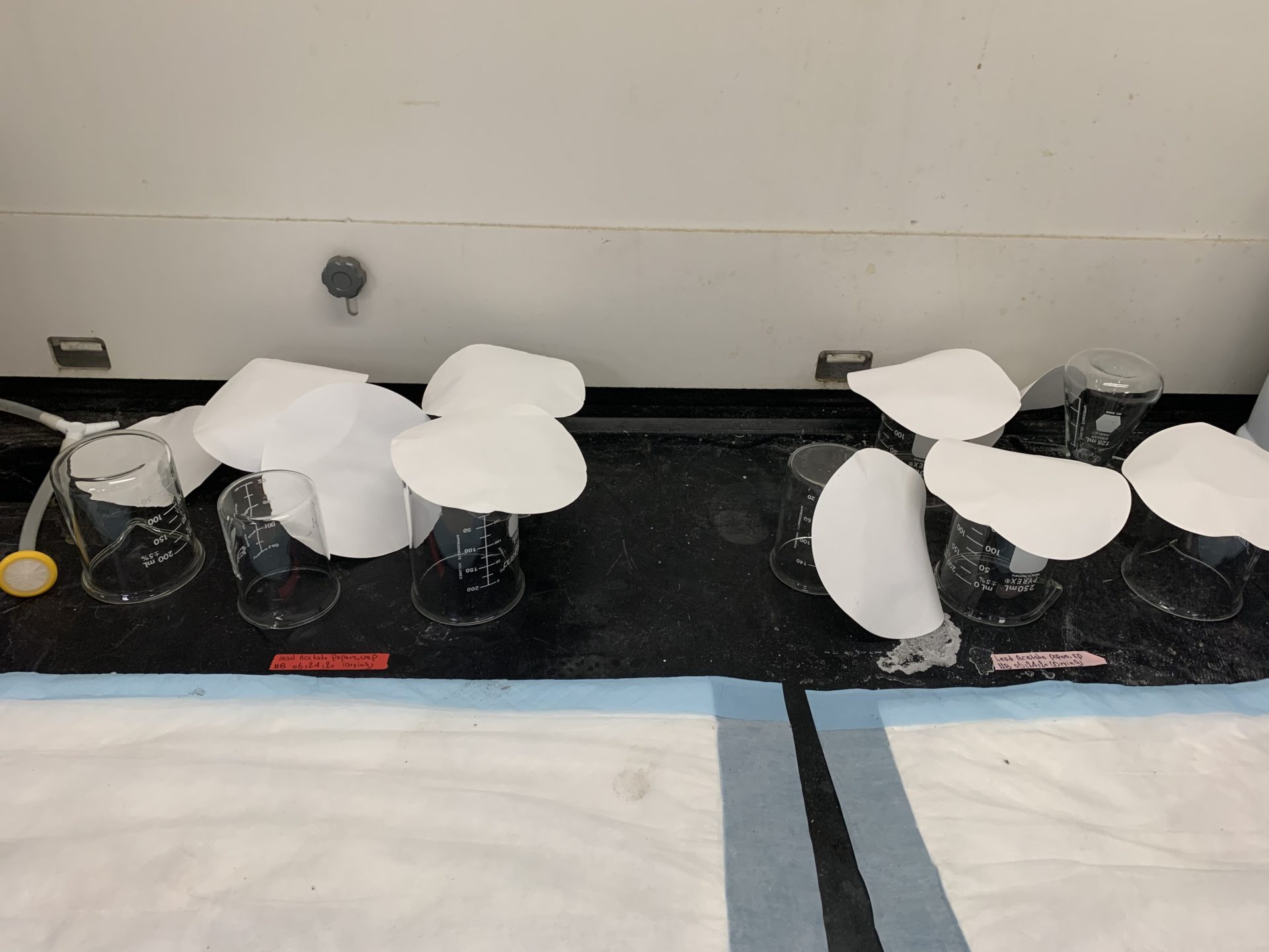 Top 10 Lab Fails of 2022 - Labtag Blog