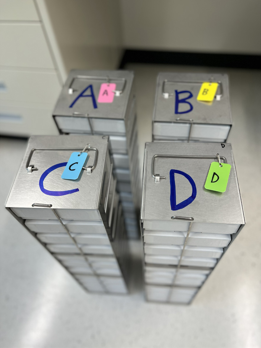 Putting the “Lab” in Labeling - Labtag Blog