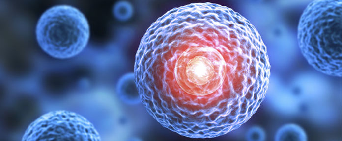 Bringing Research to Life with 3D Cell Culture - Labtag Blog