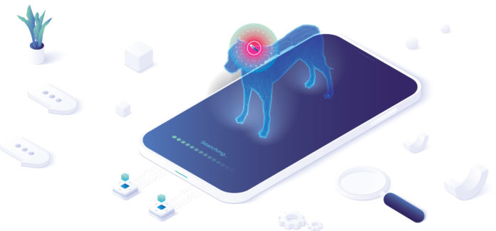 How Barcodes & RFID Help Track Animals in the Wild (& the Lab) - Labtag ...