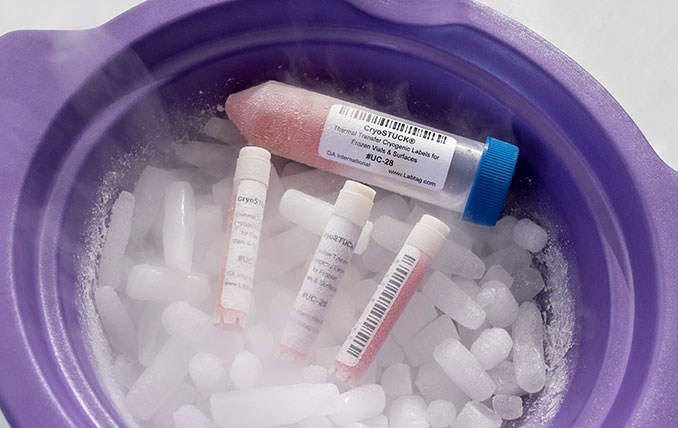 How Long Can You Store Samples in the Freezer? - Labtag Blog