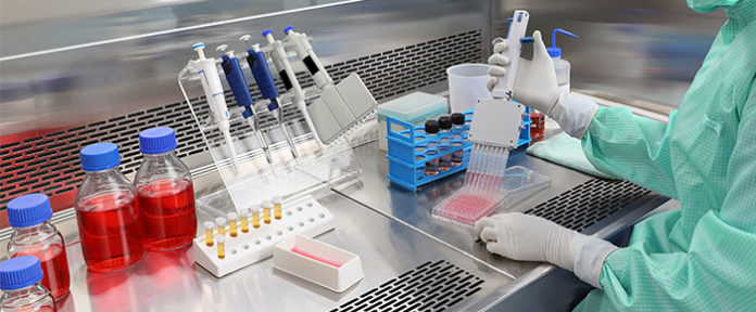 The History of Cell Lines in Biological Research - Labtag Blog