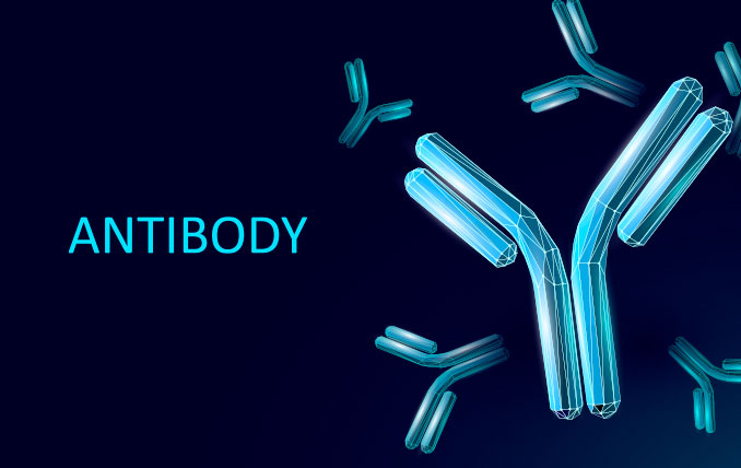 3 Tips for Storing Antibodies - Labtag Blog