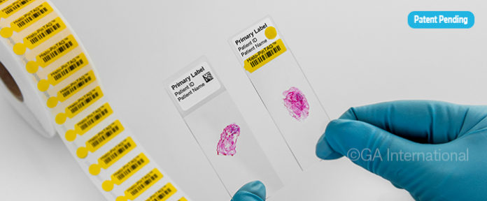 2023 LabTAG Year in Review - Labtag Blog