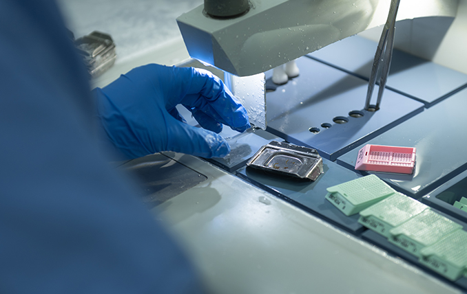 4 Tips for Labeling Histology Tissue Cassettes - Labtag Blog