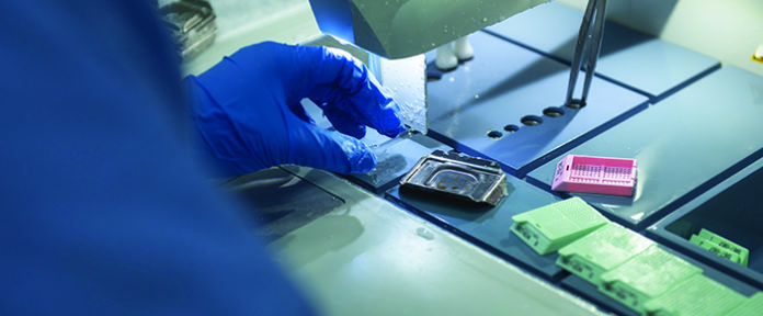 4 Tips for Labeling Histology Tissue Cassettes - Labtag Blog