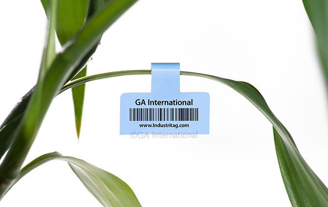 Tips for Labeling Plants in the Lab - Labtag Blog