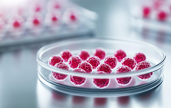 What You Need to Know from the Guidelines for Handling Organoids ...